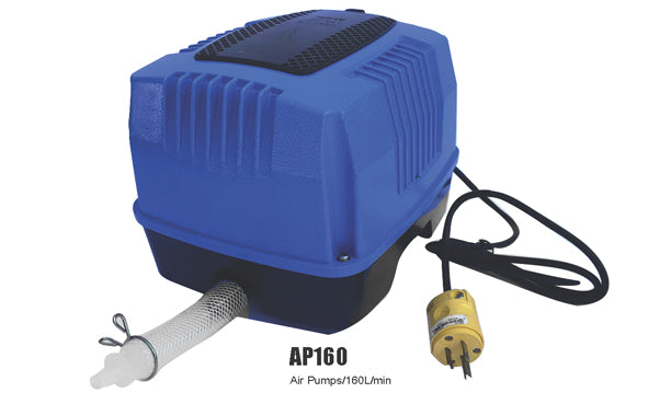 AP160 – Dockbubblers